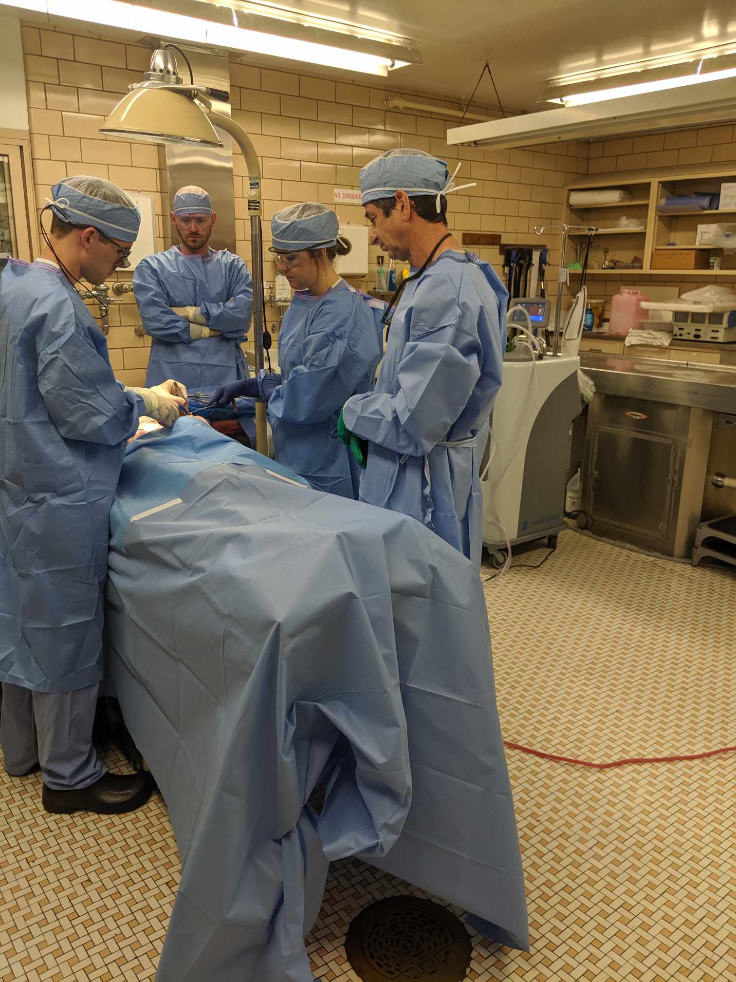 Abdominal Wall Cadaver Lab | School of Medicine | West Virginia University