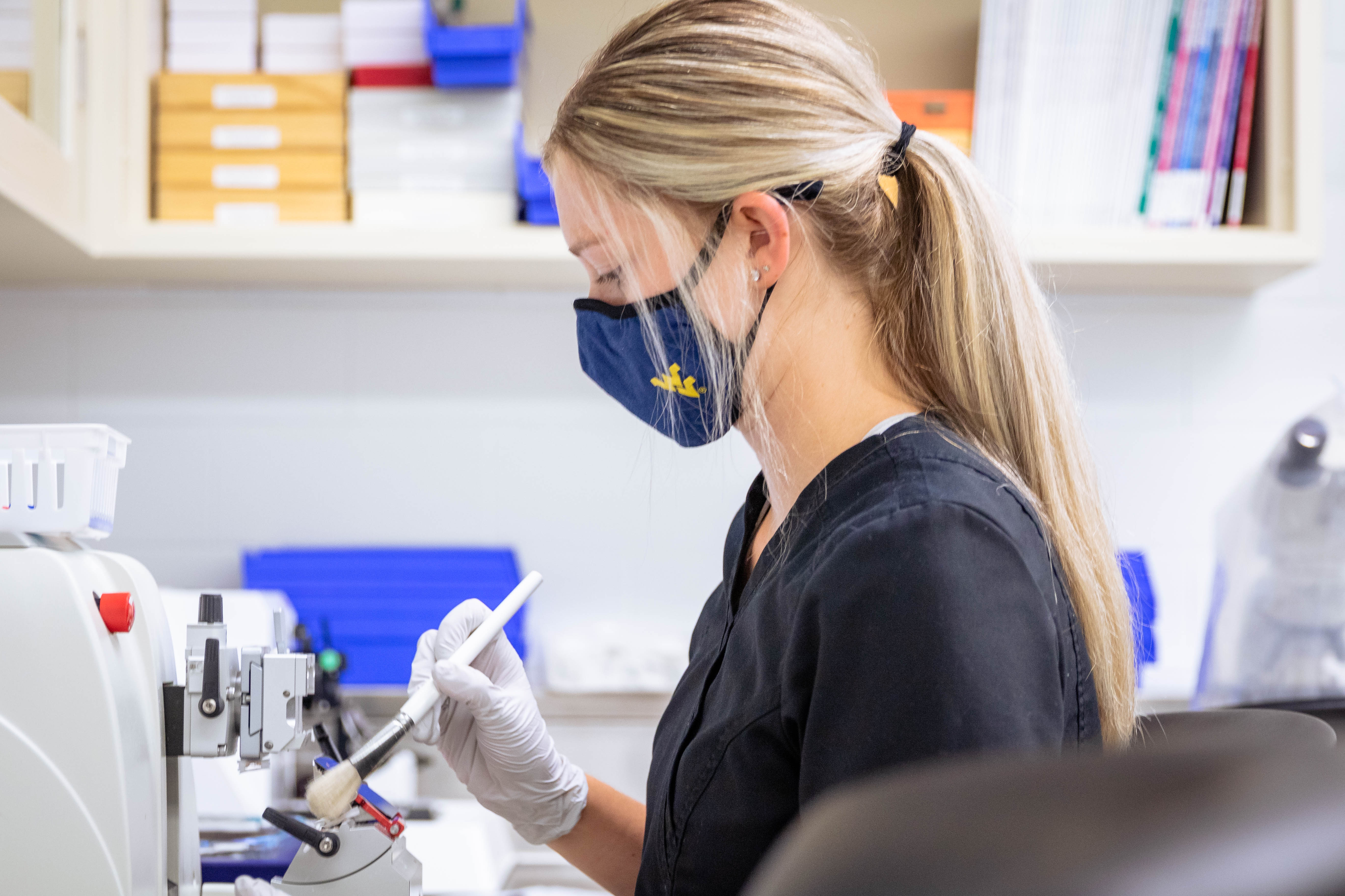 Histotechnology (BS) | School of Medicine | West Virginia University